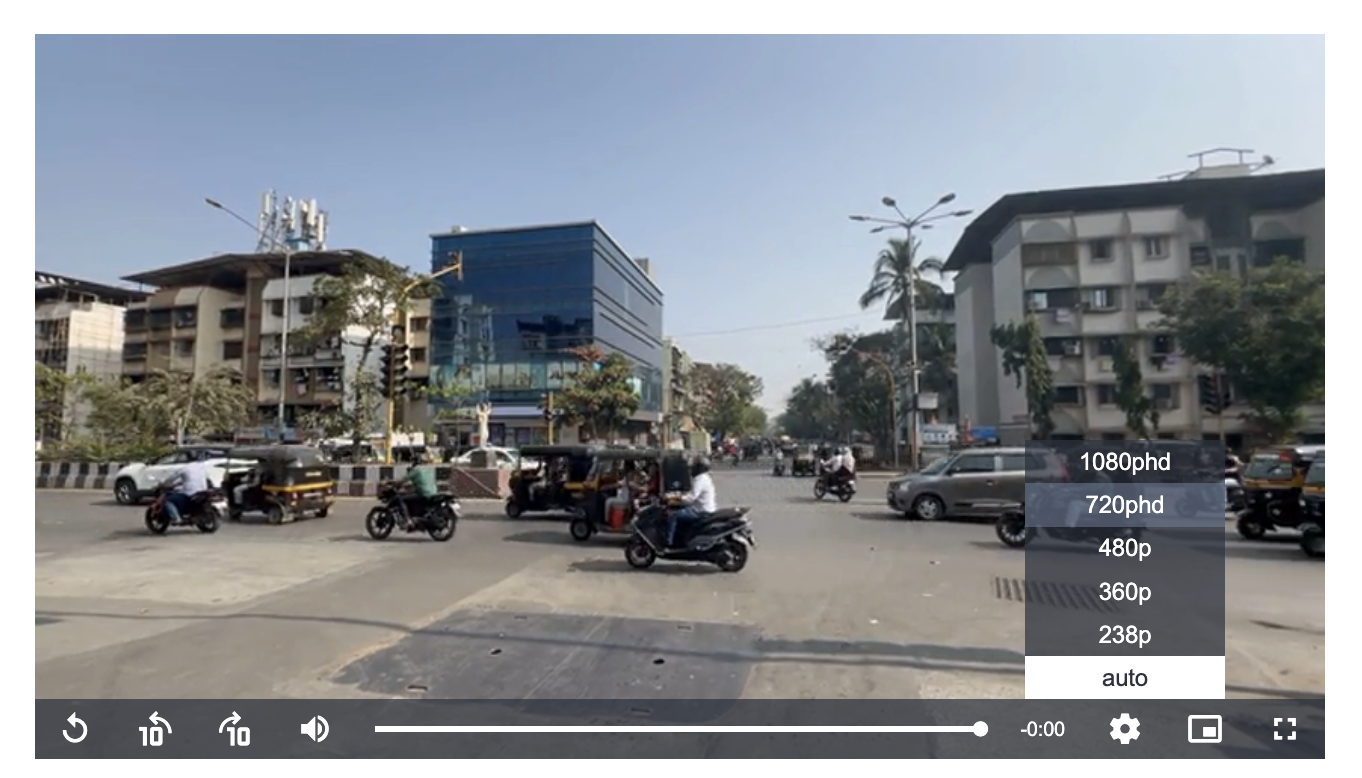 GoDAM: Scalable Video & Asset Management for WordPress